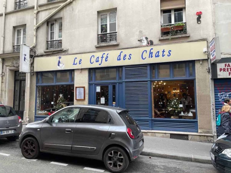 Visit “Le Café des Chats” In Paris - France Travel Tips